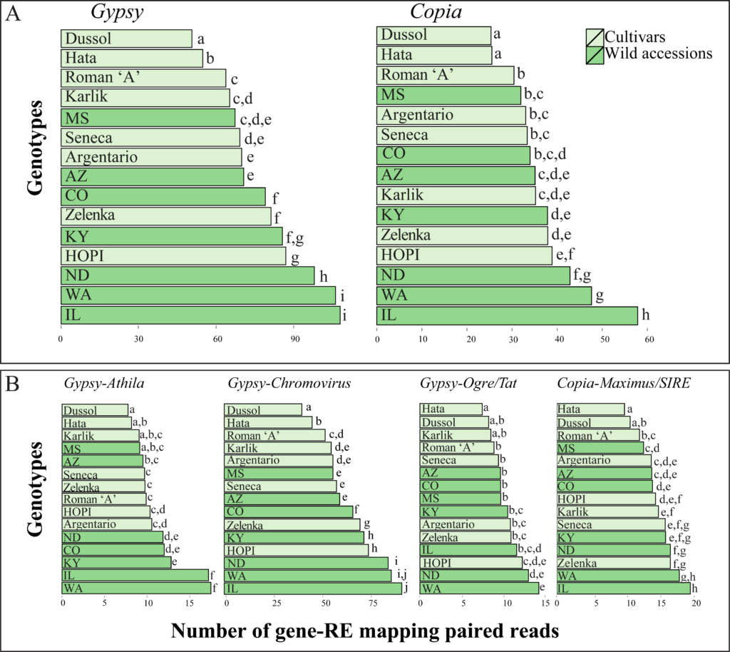 Structural Genomics – Plant Genetics and Genomics Lab